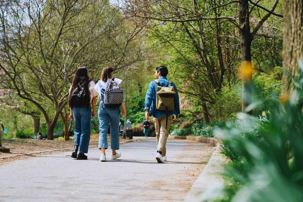 Fysiek en mentaal gezonder met wandelen | Wandelen Zonder Blaren
