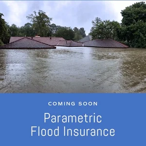 Insurance Solutions - Parametric Insurance | NM Insurance Solutions