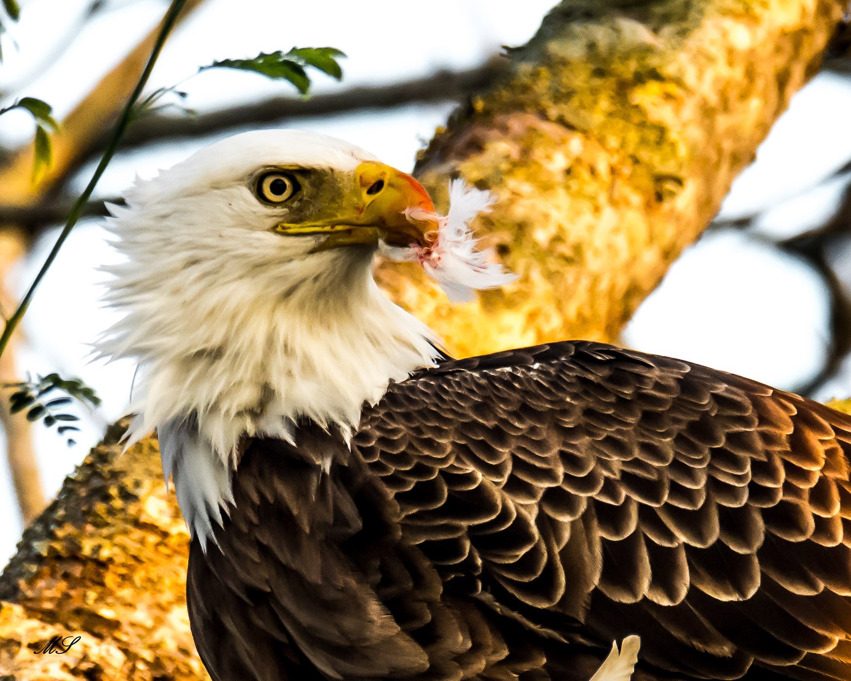 Travel and Wildlife Photographs — Our Special Travels