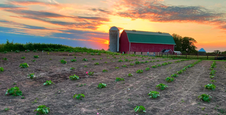 Auburn Homestead - Pumpkin Patch & Country Store | New Auburn, Wisconsin