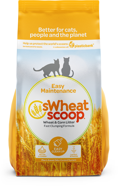 Multi-Cat | All-Natural 100% Wheat Cat Litter — sWheat Scoop