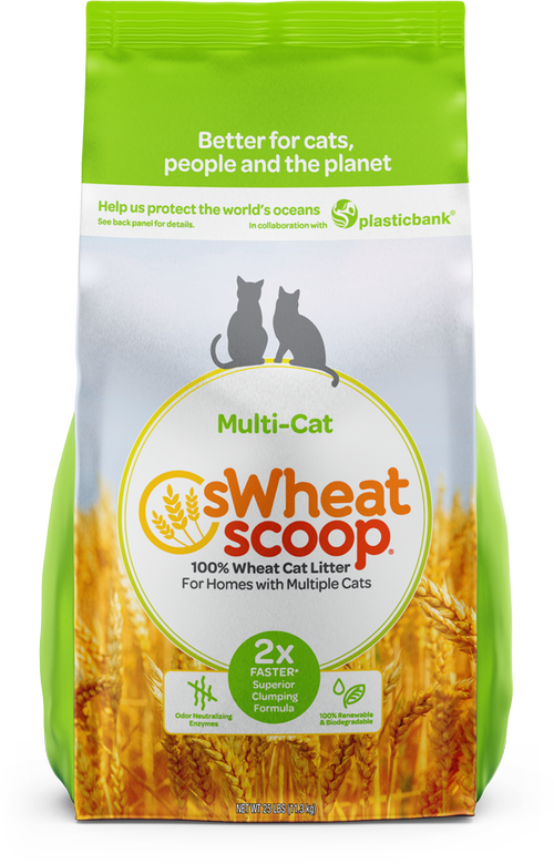 Multi-Cat | All-Natural 100% Wheat Cat Litter — sWheat Scoop