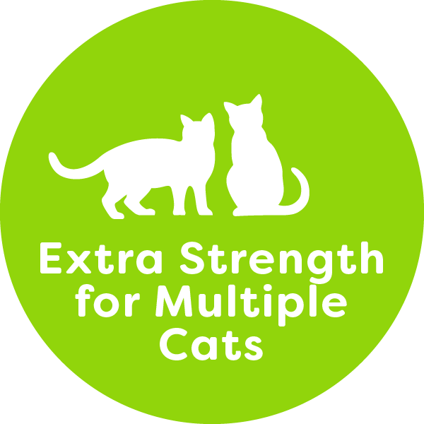Multi-Cat | All-Natural 100% Wheat Cat Litter — sWheat Scoop
