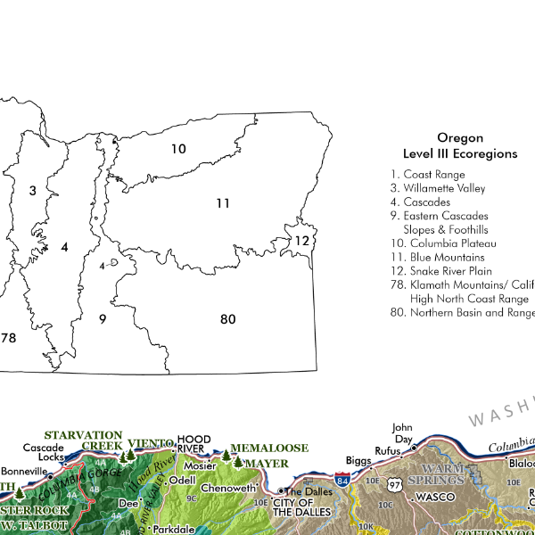 Idaho Ecological Regions (Ecoregions) — Mitchell Geography