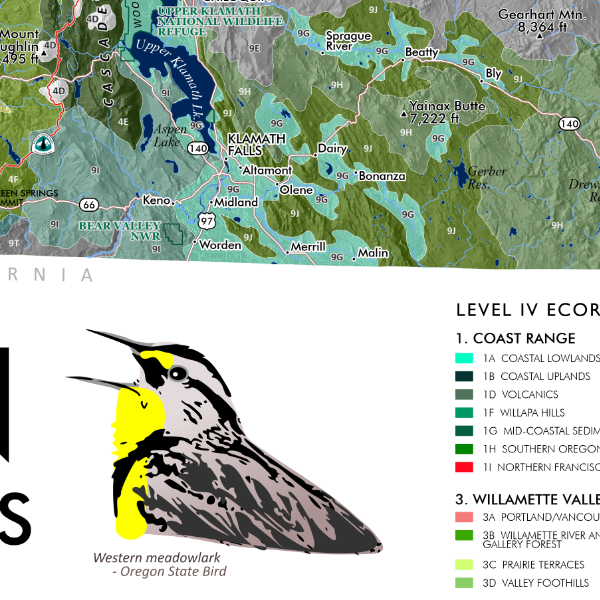 Idaho Ecological Regions (Ecoregions) — Mitchell Geography