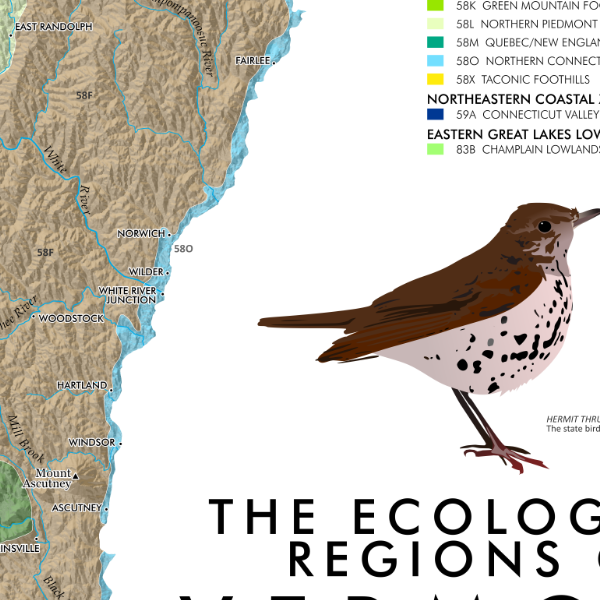 Alaska Ecological Regions Map — Mitchell Geography