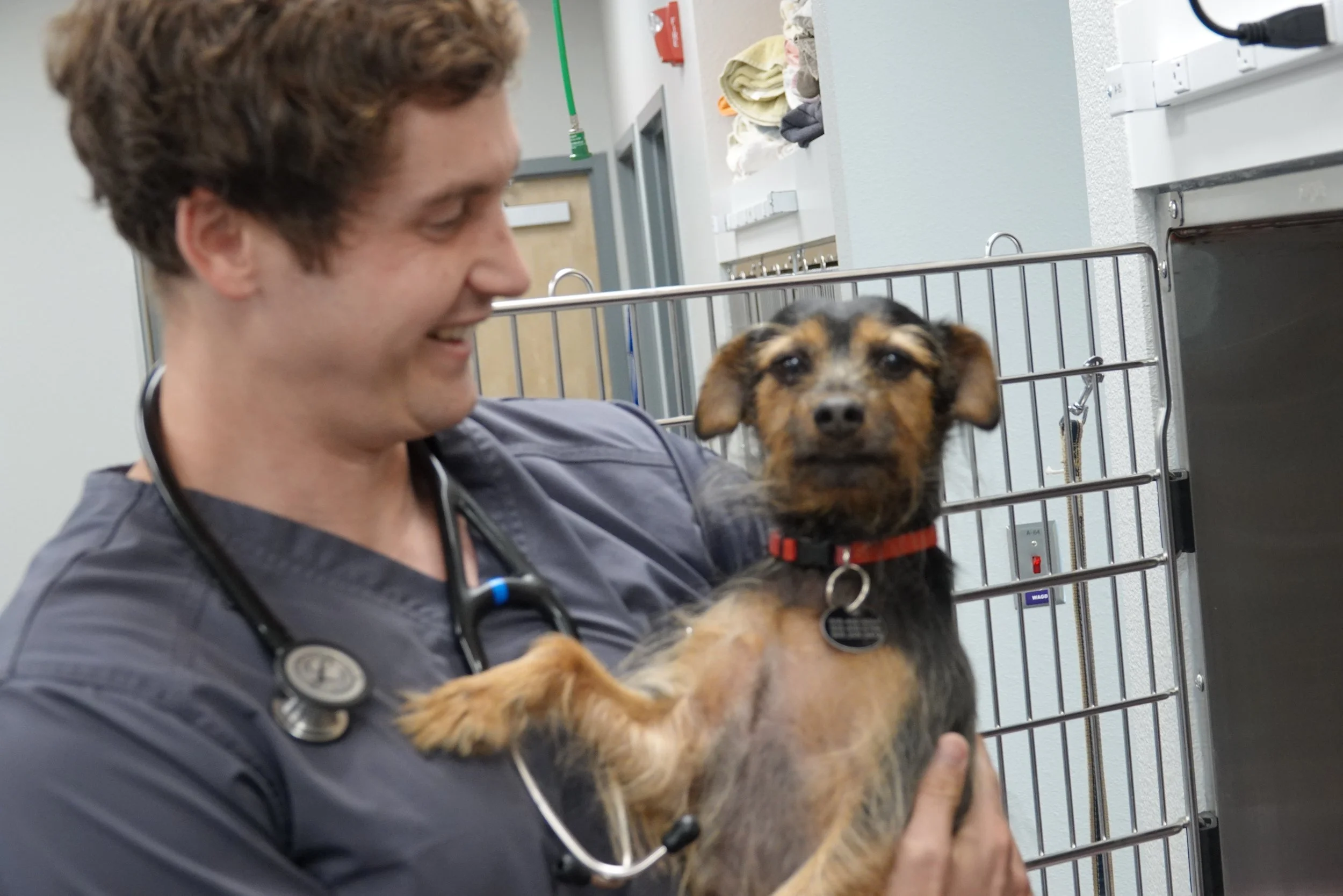 Los Sueños Community Giving