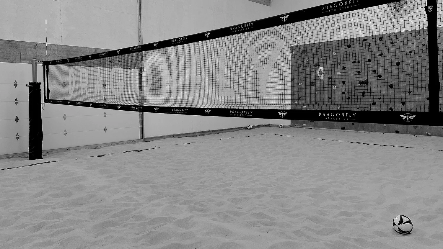 Dragonfly Athletics — DRAGONFLY ATHLETICS
