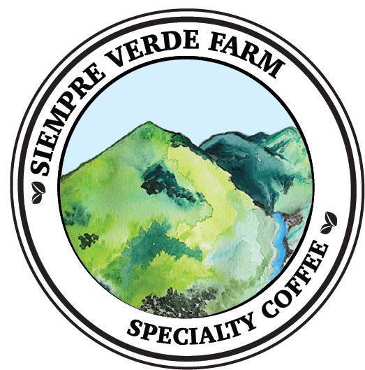 Siempre Verde Farm Specialty Coffee | From Ecuador to Your Door
