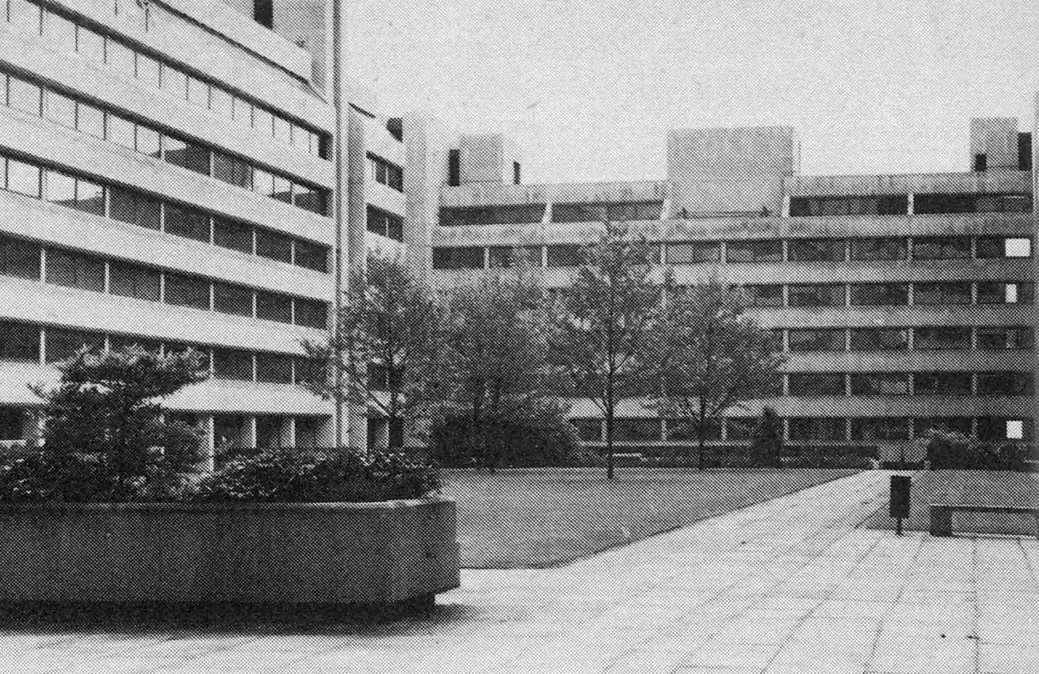 Toklas — Celebrate London Restaurants