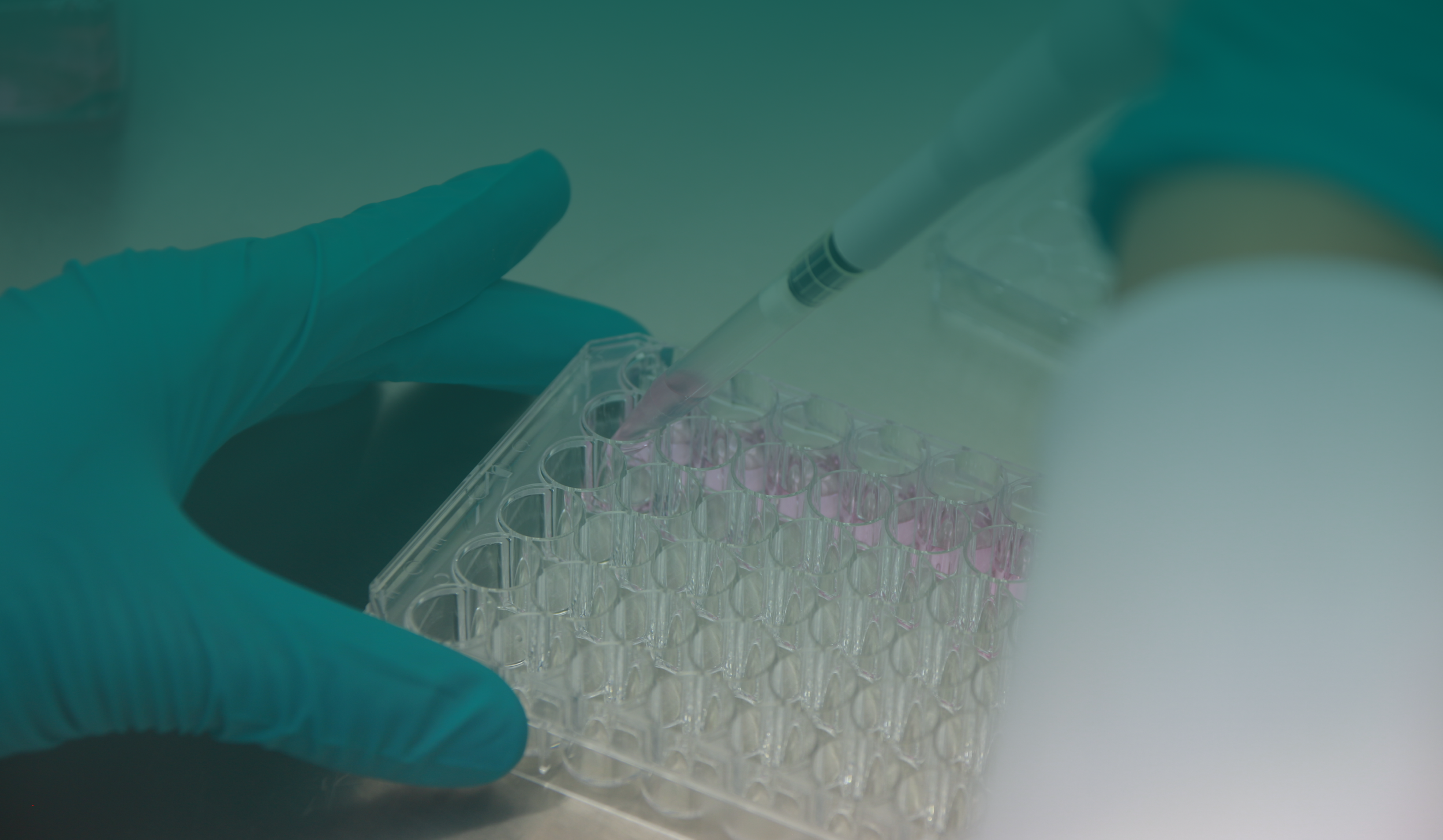 About us — Stimuliver