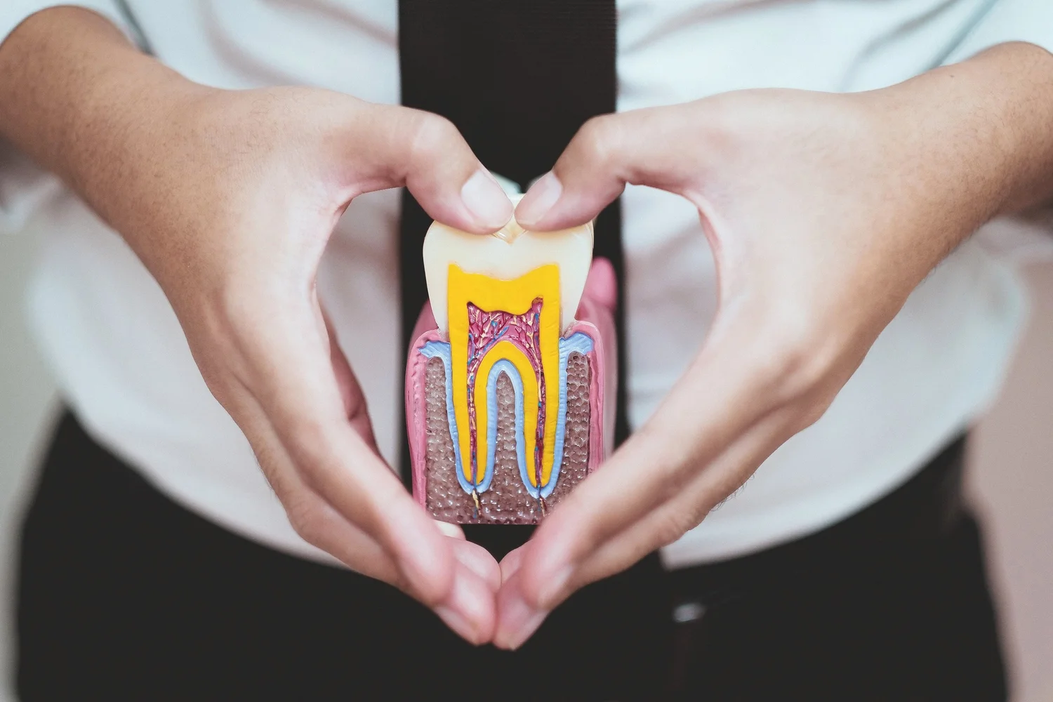 Root Canal Therapy — Hermitage Dental