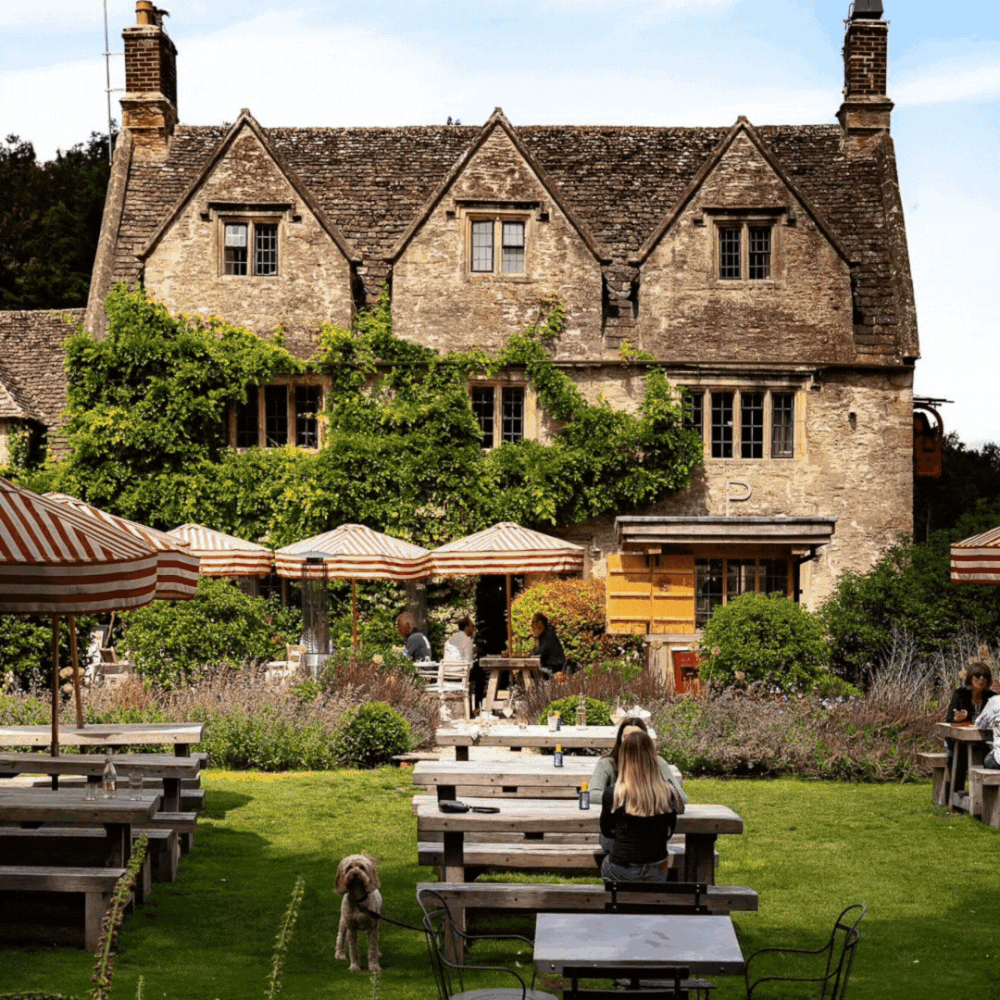 DOUBLE RED DUKE — CURATED SPACES