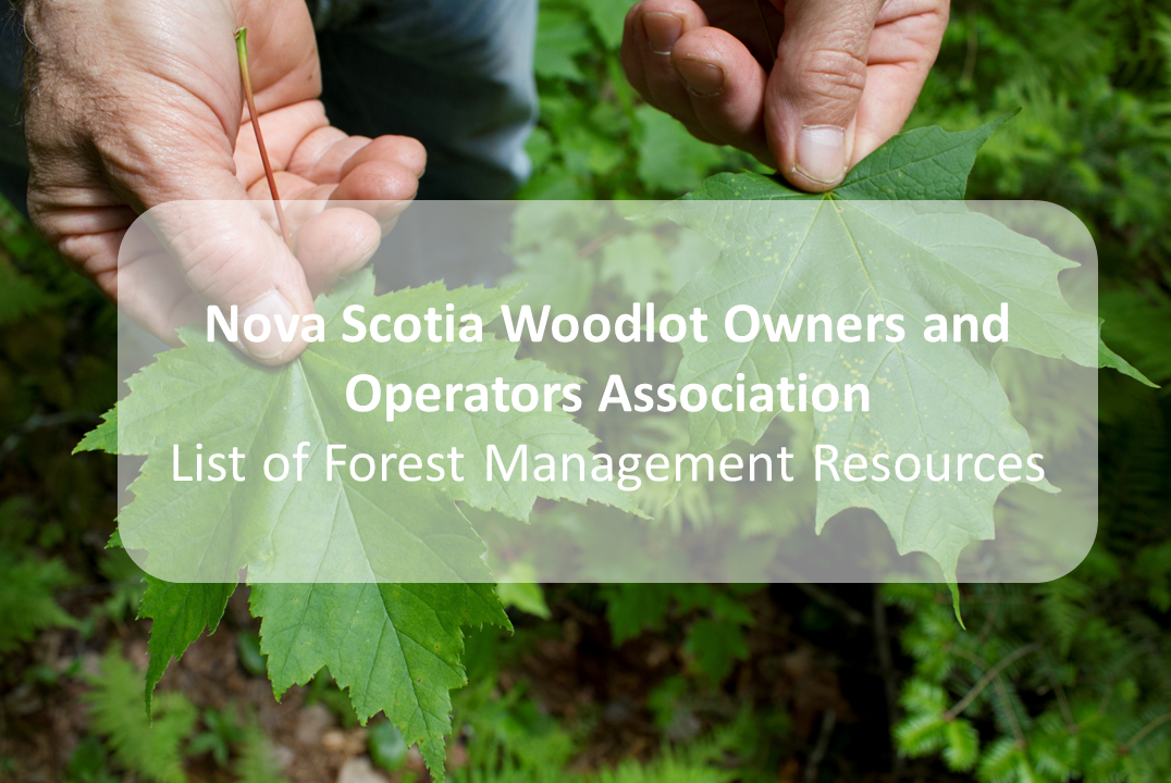Resources — Family Forest Network