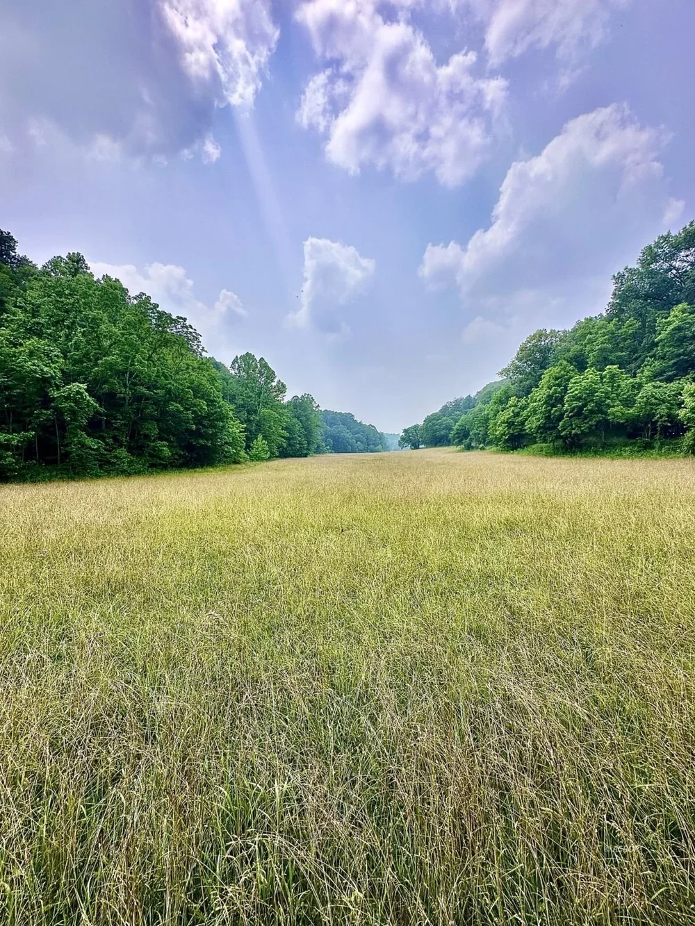 Live — Live in Gallia