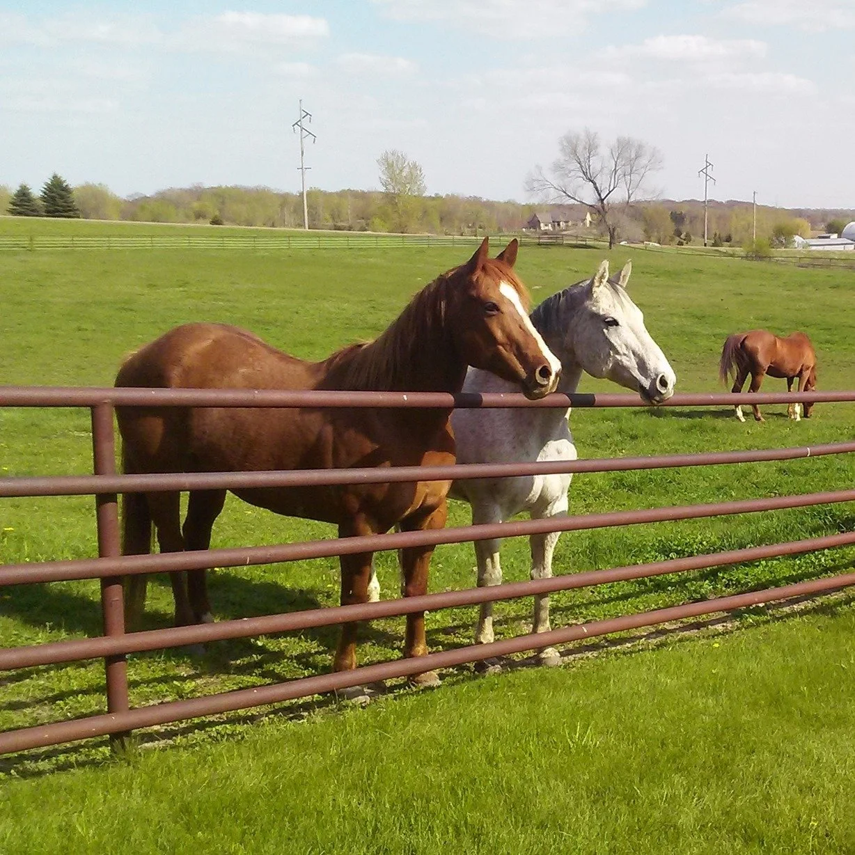 True Grit Leadership