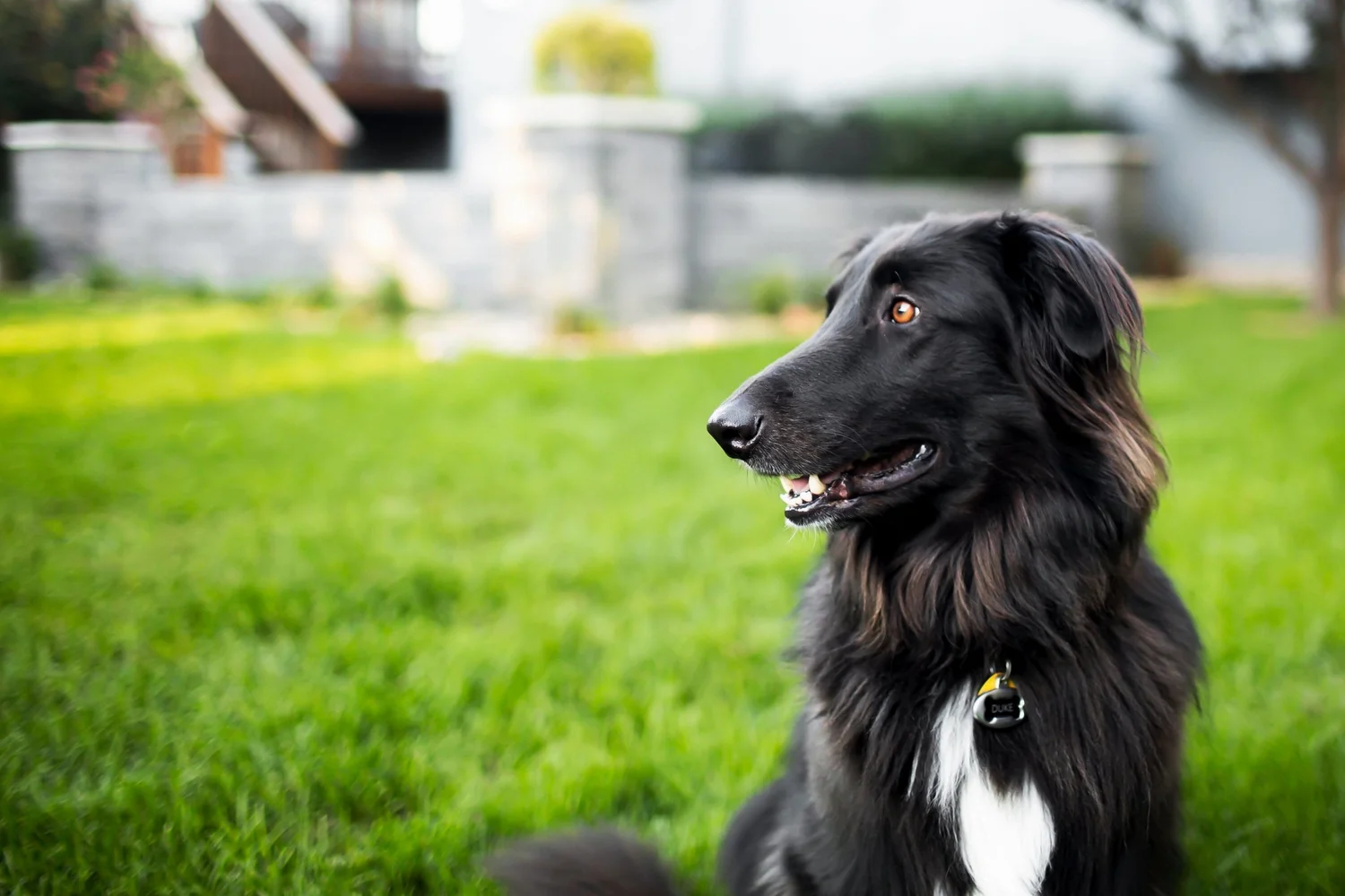 Haven Animal Rescue Nebraska