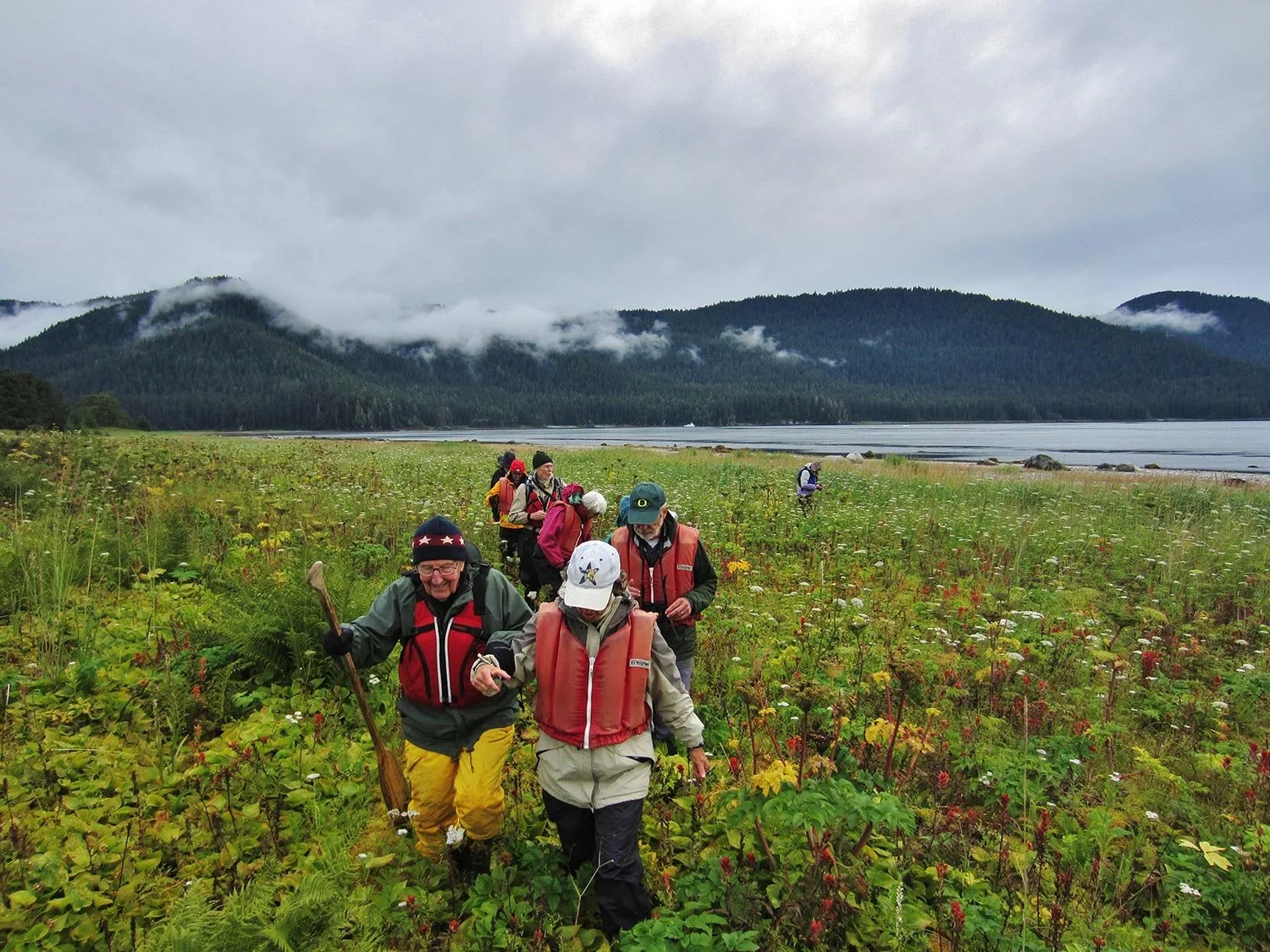 kayaking_alaska_whales — Snow Goose Alaska