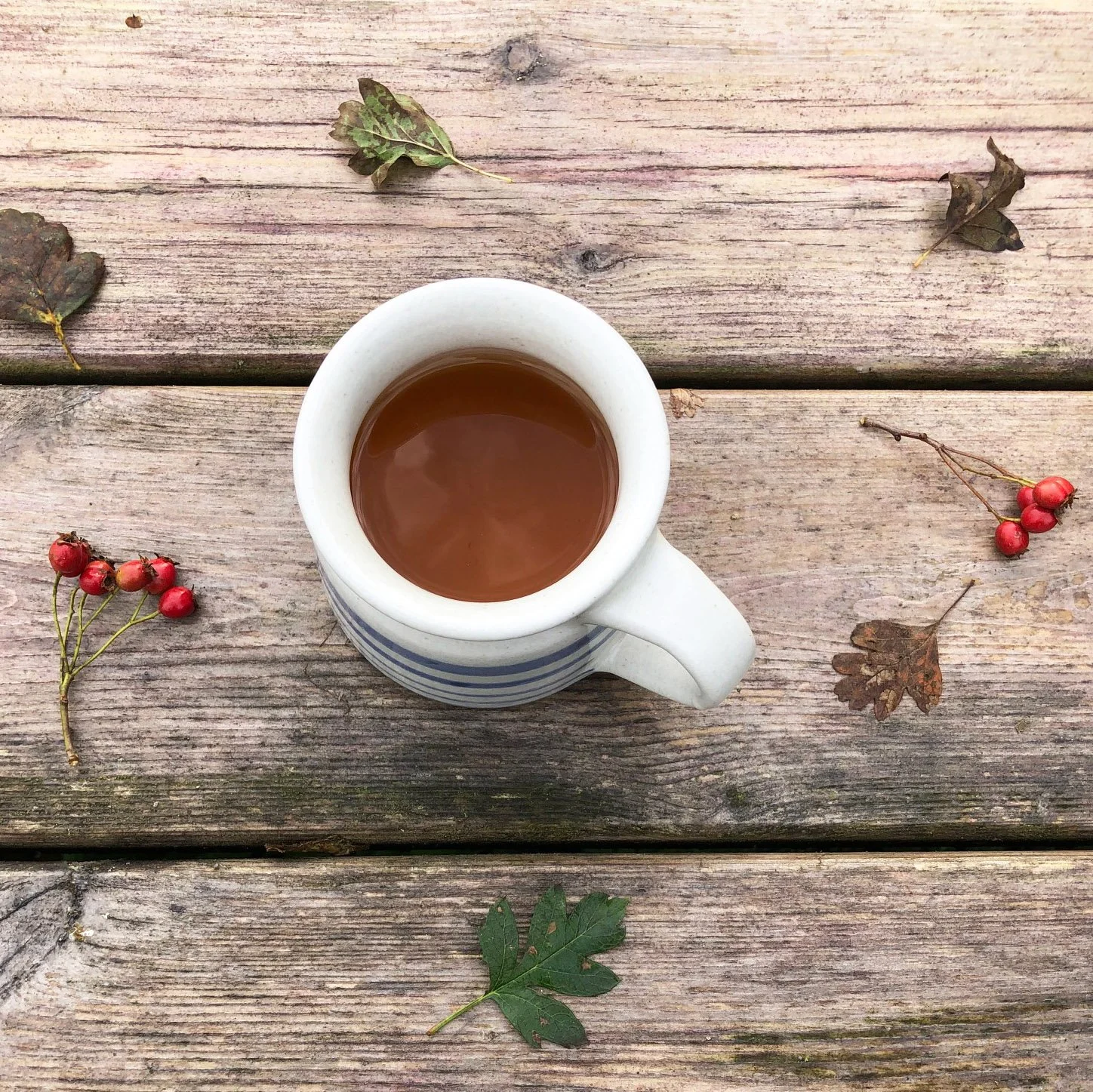 Hawthorn Tea — STEPH SHEAHAN