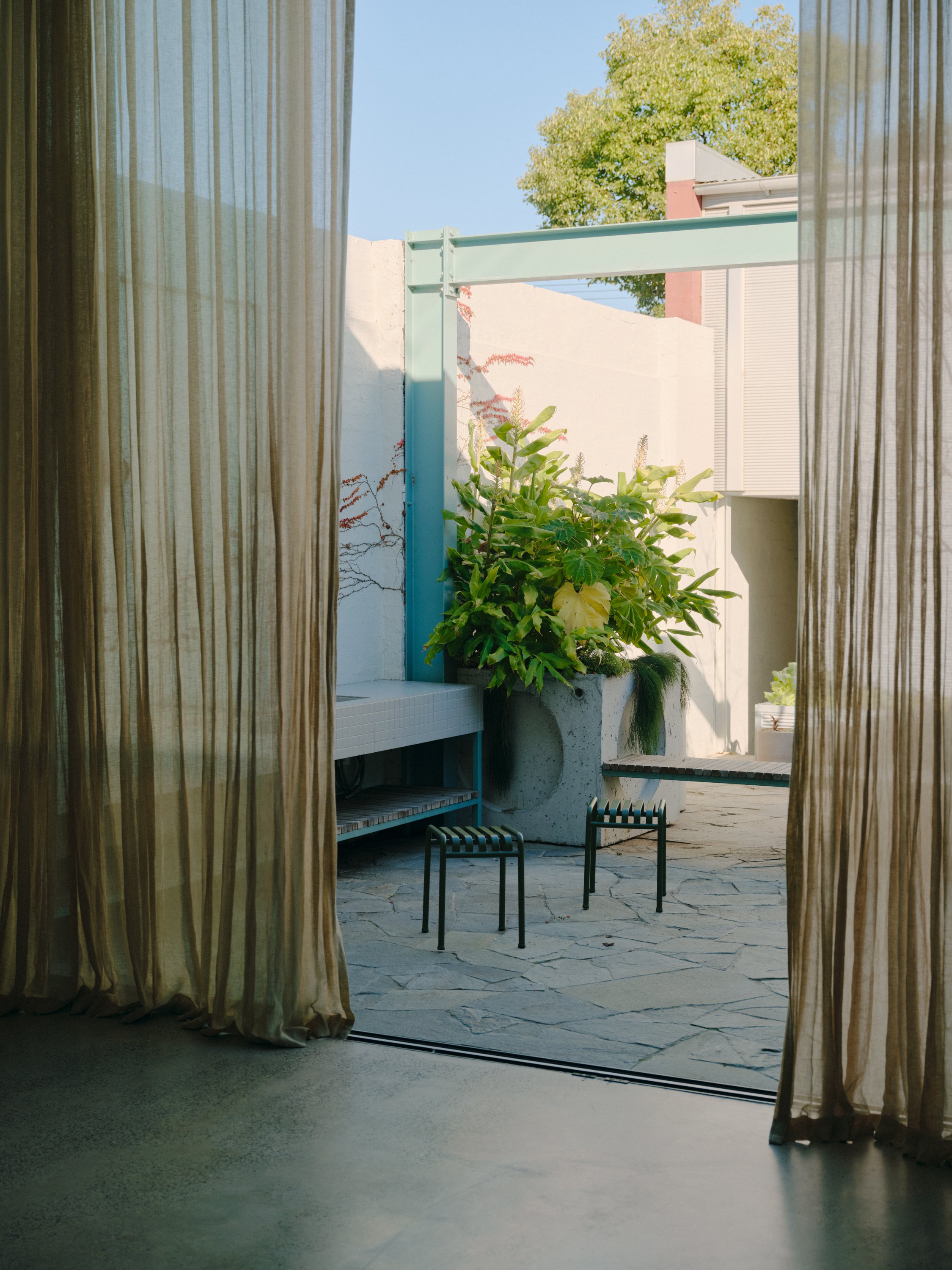 Seddon — Peachy Green