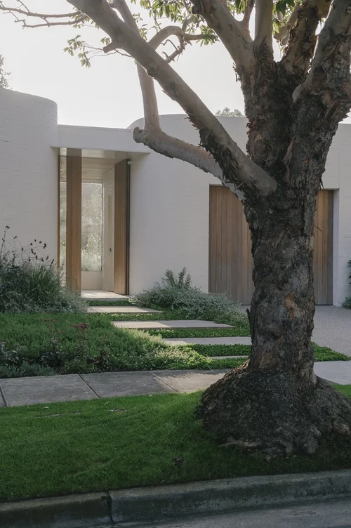 Xavier Street — Peachy Green