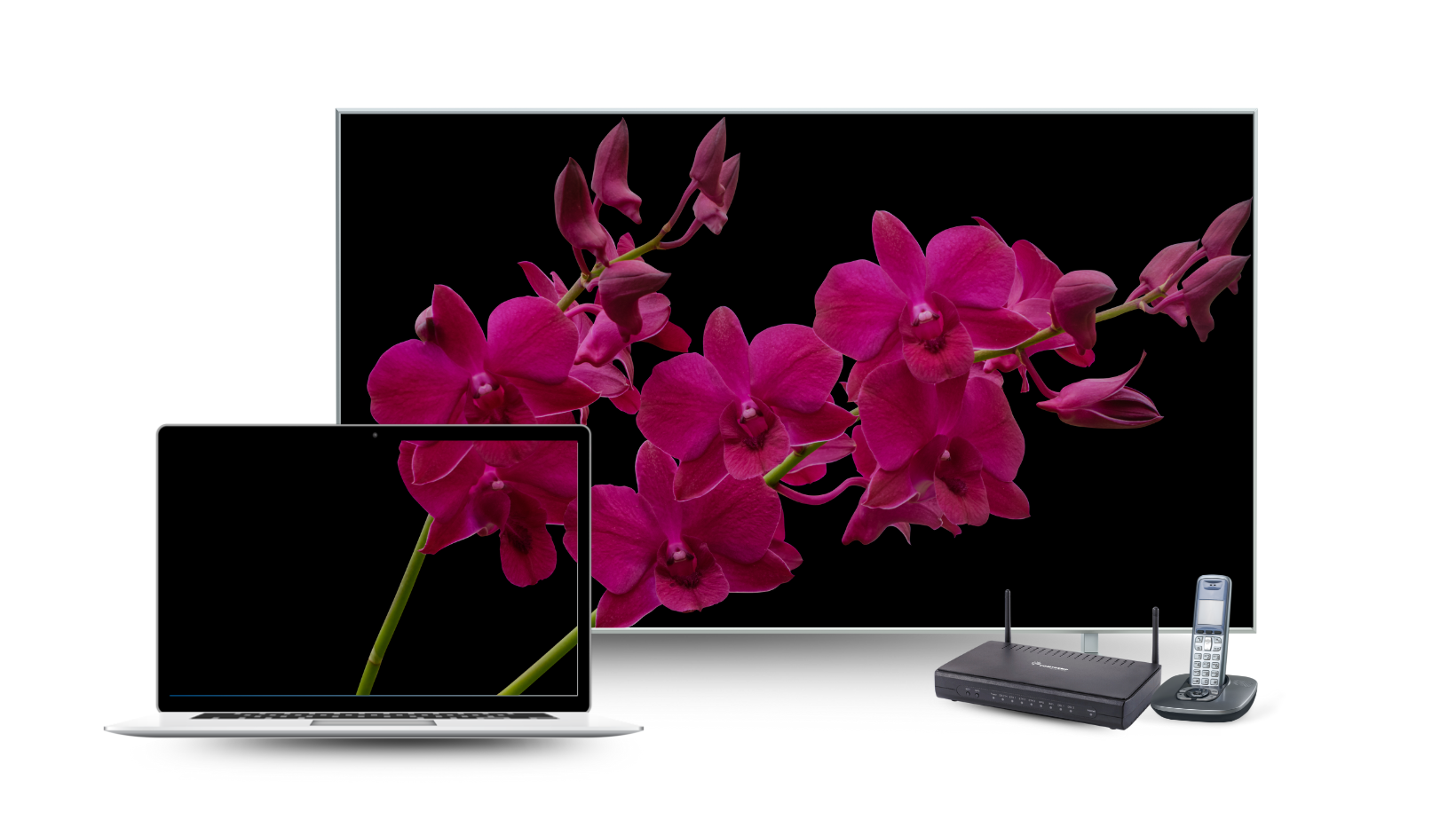 Bundles — Satel N.V.