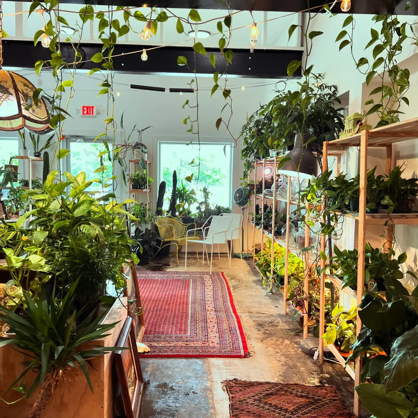 Cope Plant Shop