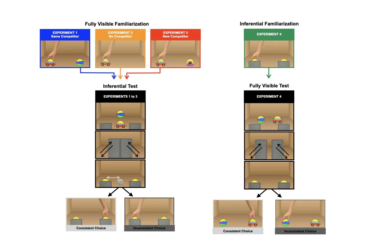 Publications — Infant Mind & Cognition Lab