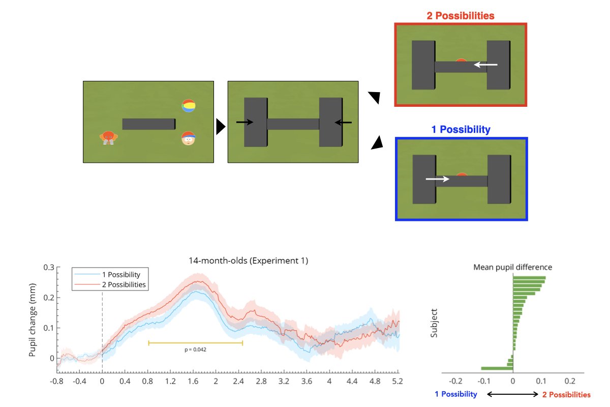 Publications — Infant Mind & Cognition Lab
