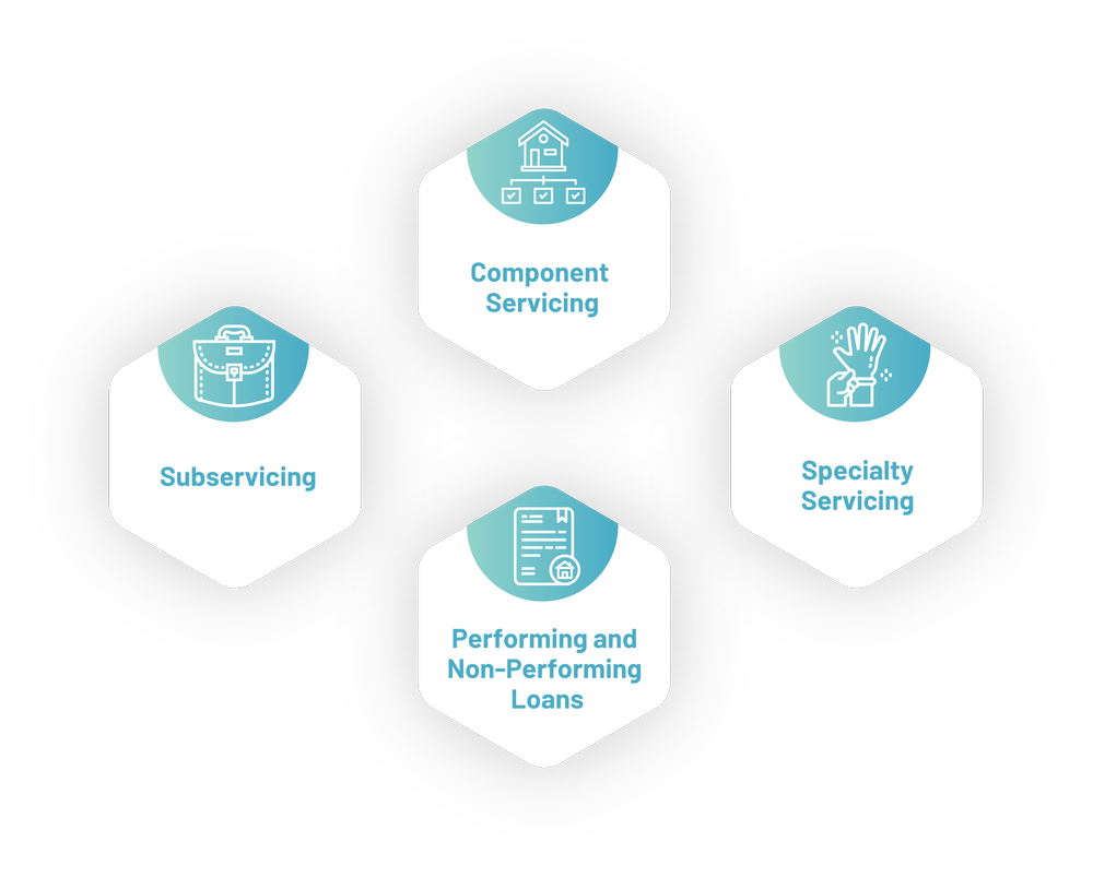 Selene Finance | Maximize Loan Performance — Selene Advantage