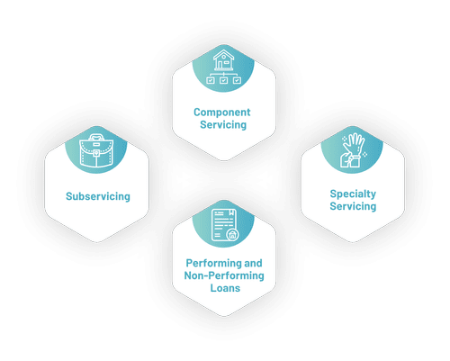 Selene Finance | Maximize Loan Performance — Selene Advantage
