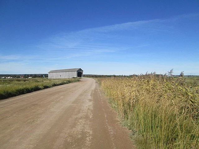 About The Press — High Marsh Press