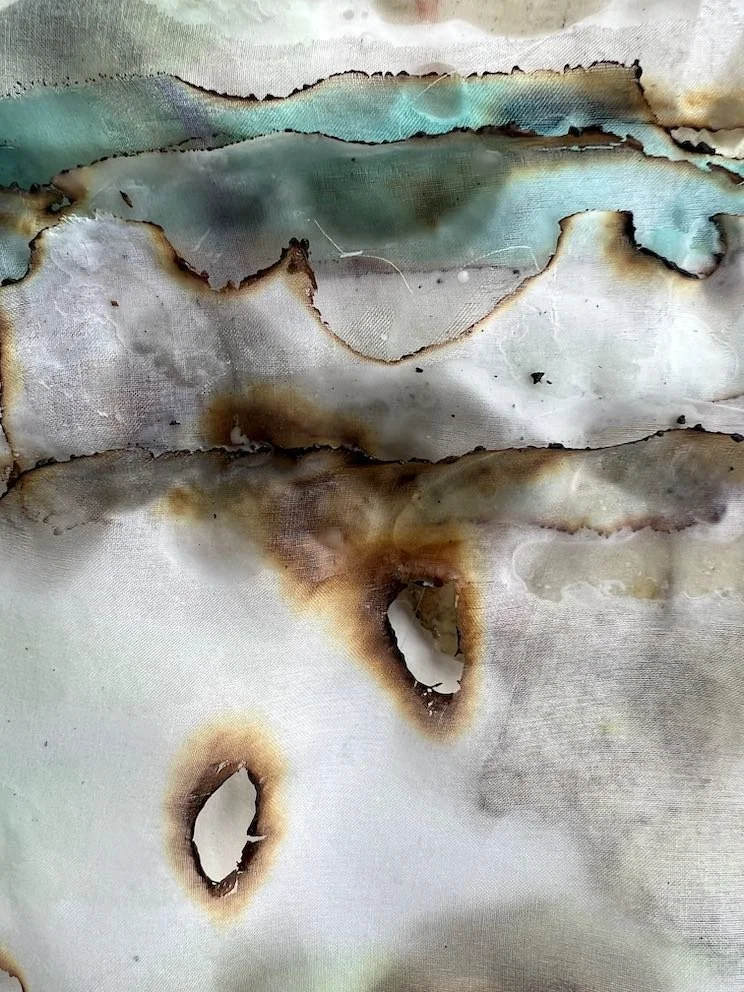 transitions — Roberta Wagner