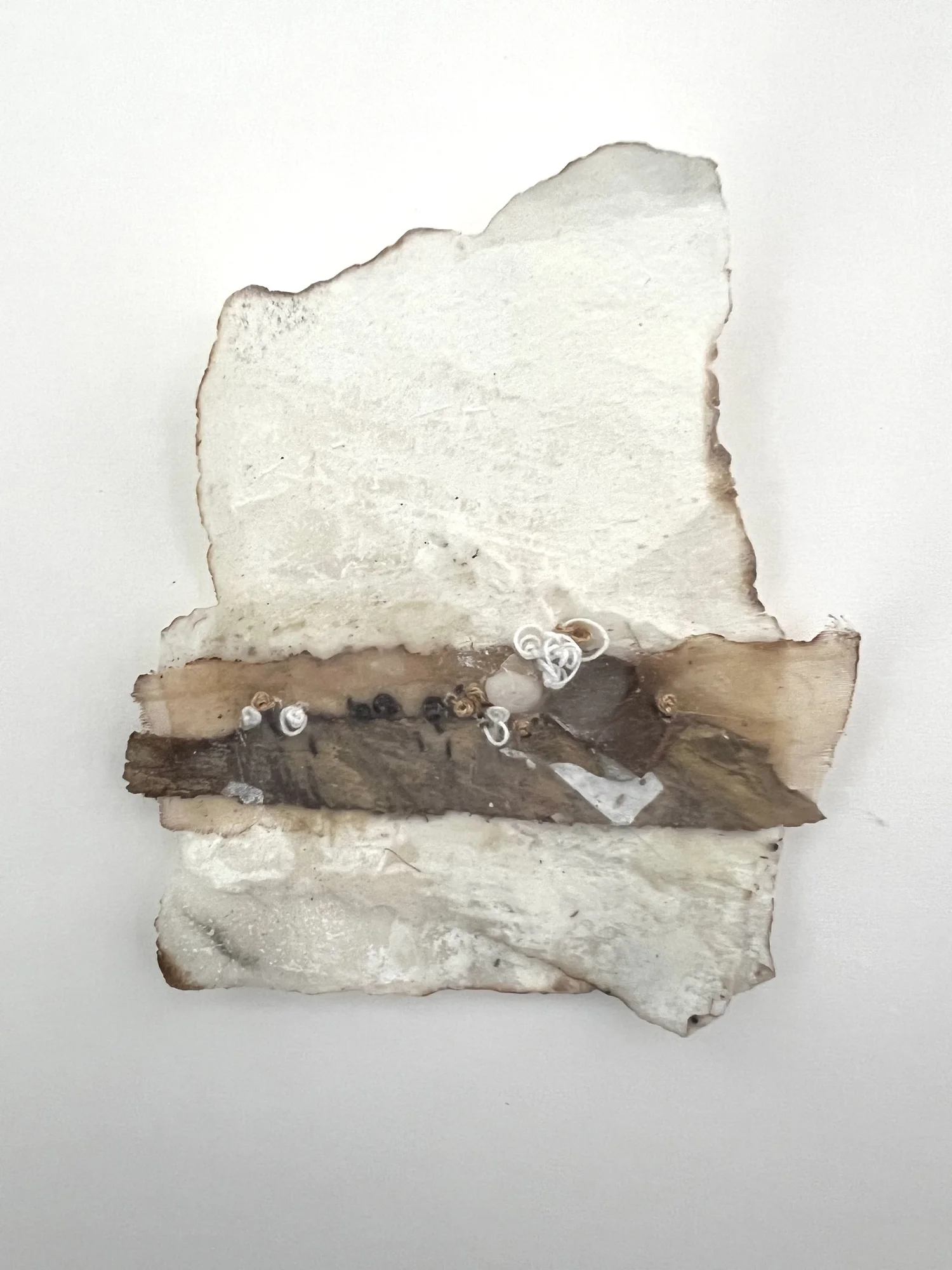 the drawing — Roberta Wagner