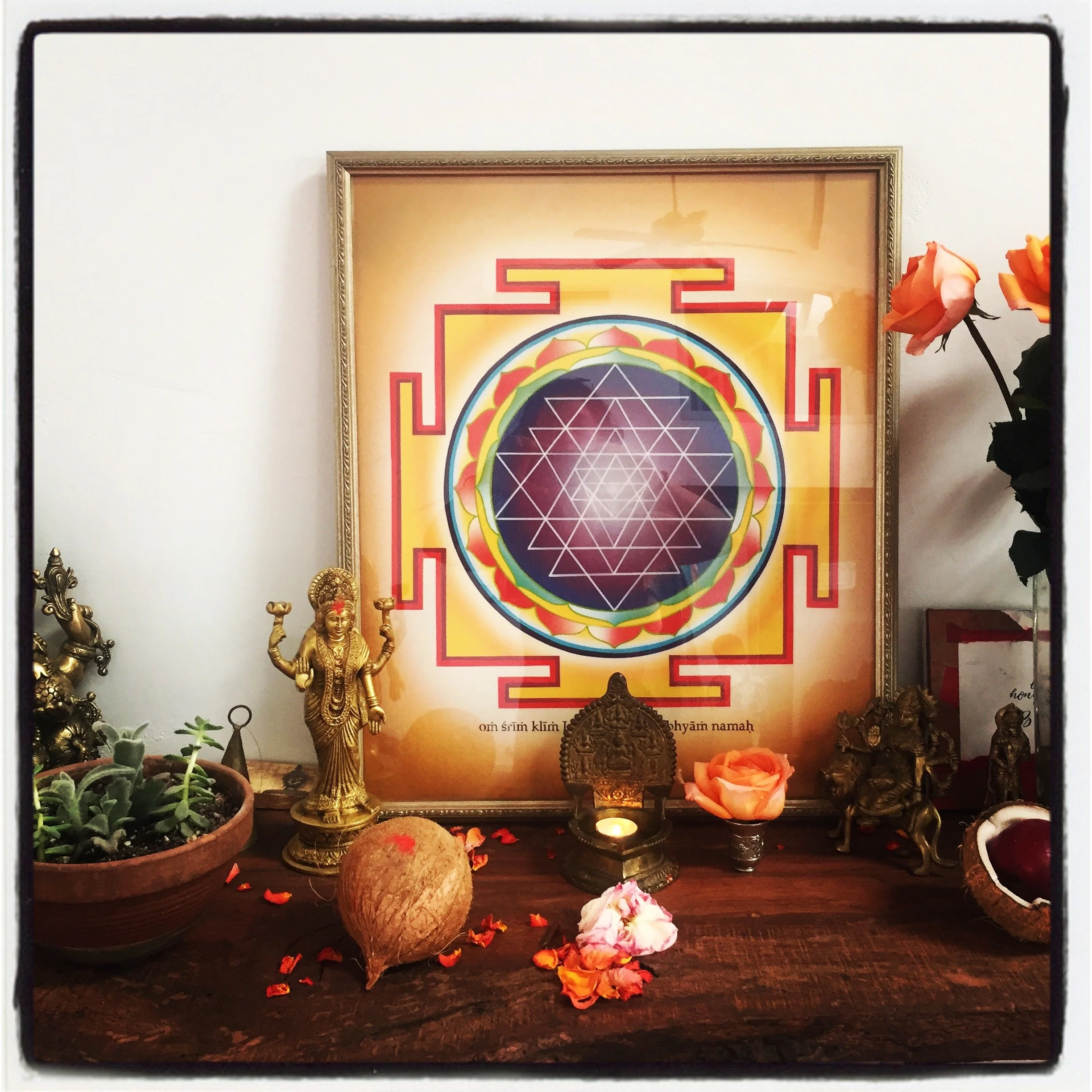 Blog 3 — Kavita Kat Macmillan