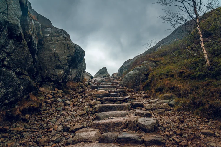 Certification — National School Chaplain Association