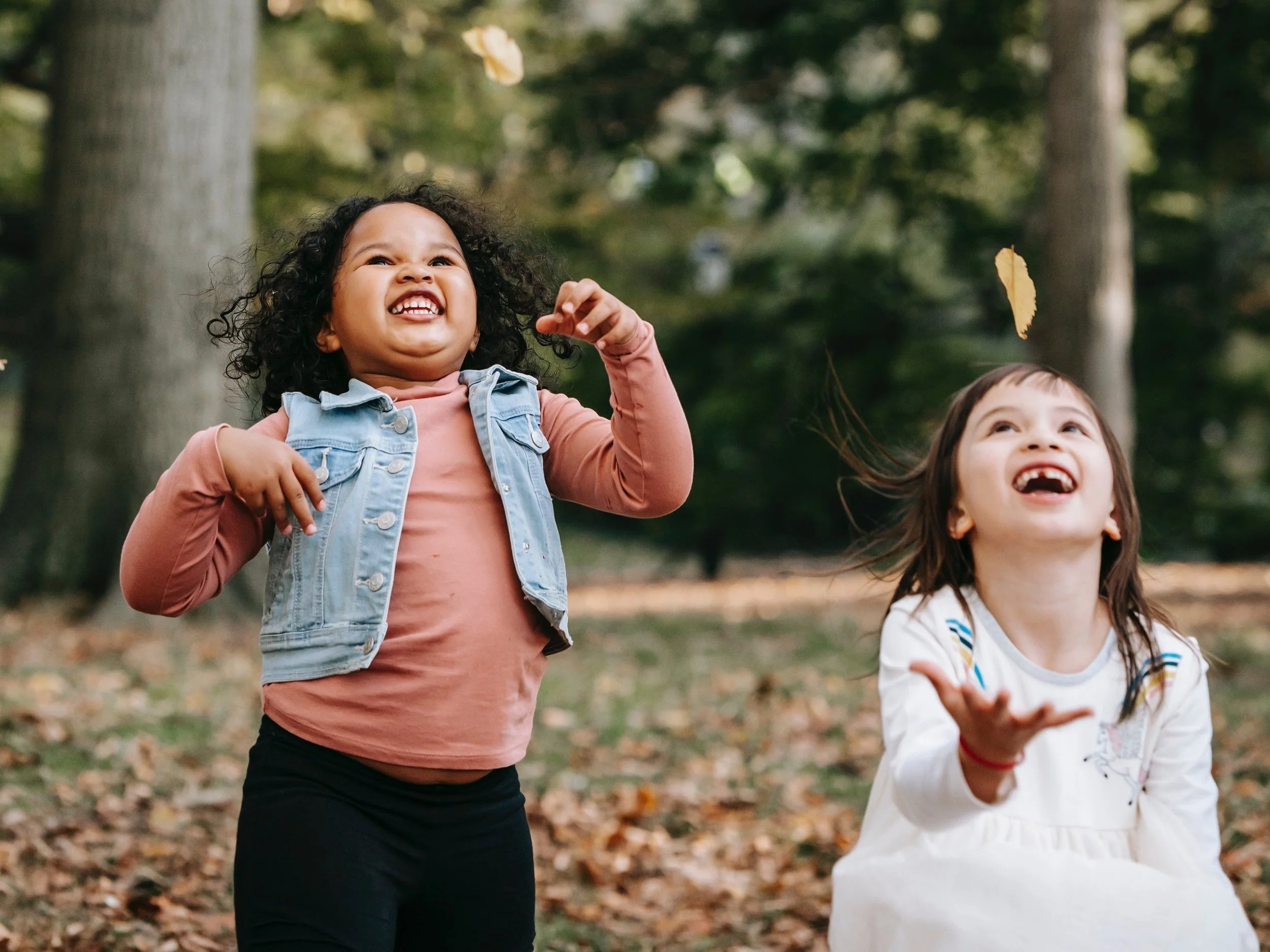 Social Behavior Solutions
