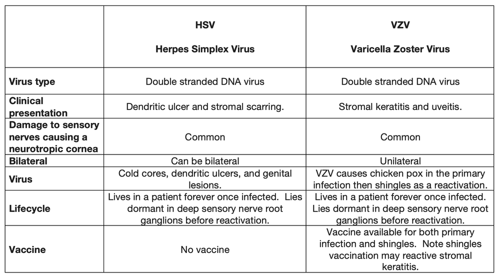 Herpes Simplex vs. Zoster Virus | Eye Infections & Differences — DR ...