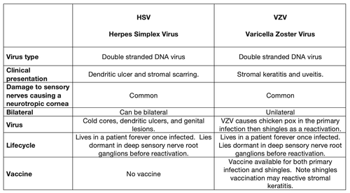 Herpes Simplex vs. Zoster Virus | Eye Infections & Differences — DR ...