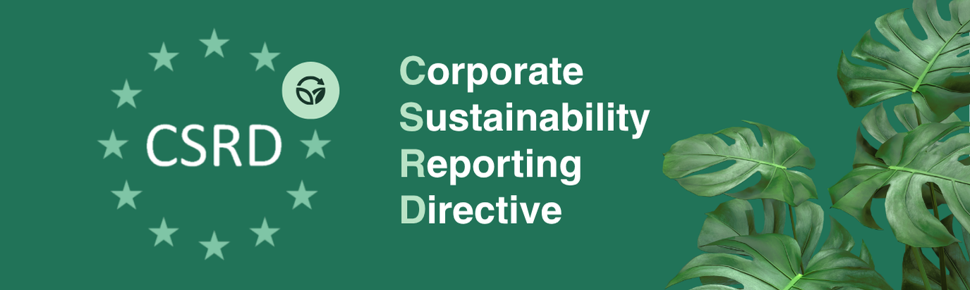 What Is CSRD? Key Requirements for 2026 Compliance — Terra Reporting