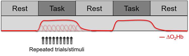 Which experimental designs to use in fNIRS — Block design — Artinis ...