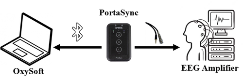 Multimodal fNIRS-EEG measurements — Staying in sync — Artinis Medical ...