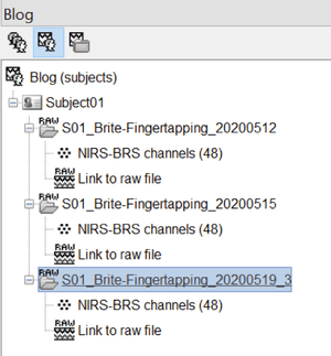 fNIRS analysis toolbox series – NIRSTORM — Artinis Medical Systems | (f ...