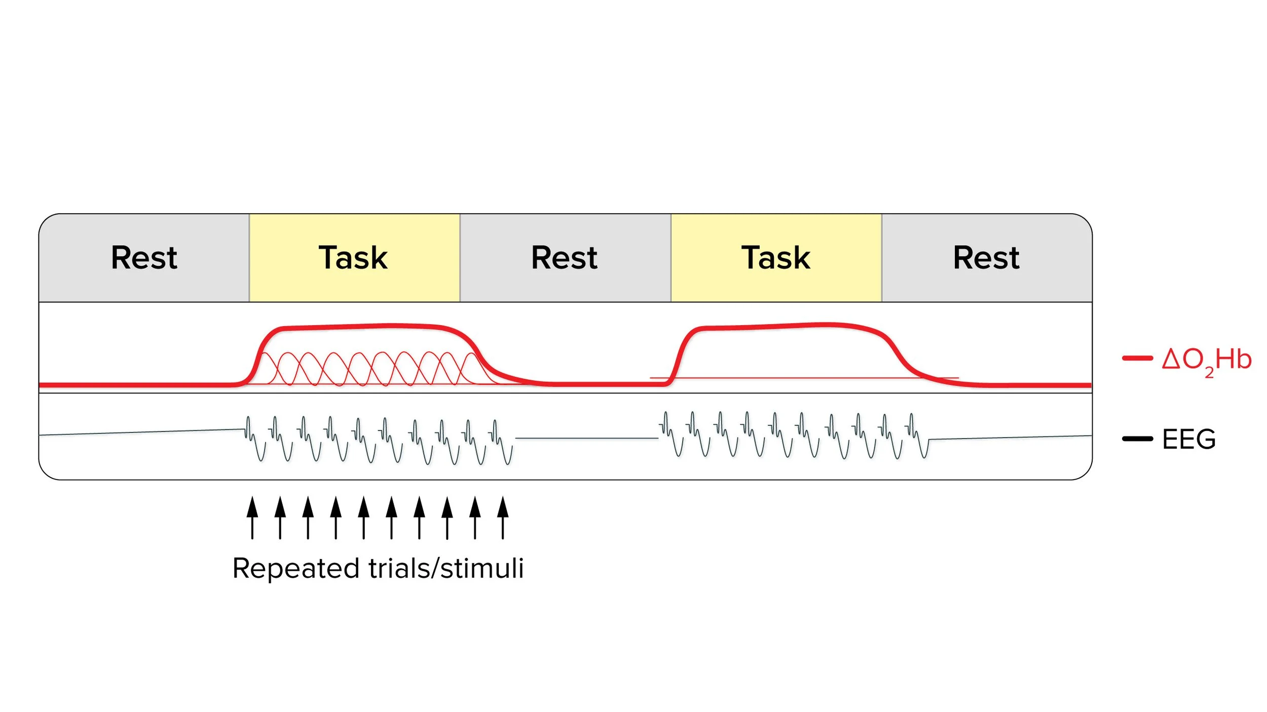 Multimodal fNIRS-EEG measurements — Experimental Design — Artinis ...