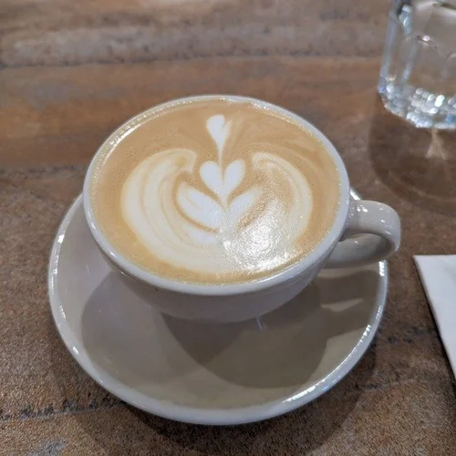 Where to Find The Best Specialty Coffee in Singapore — Things Nomads Do