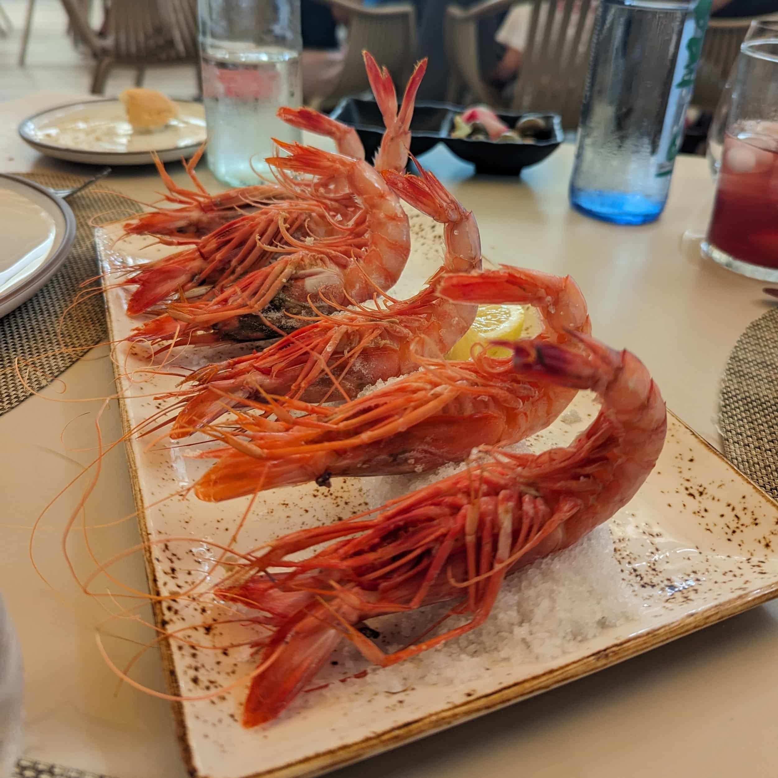 The Ultimate Valencia Food Guide — Things Nomads Do