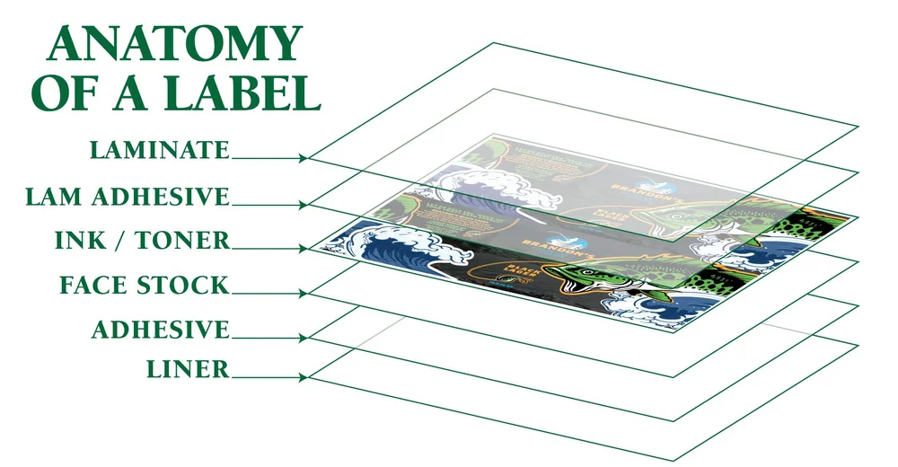 LABELS 101 - Part 2: The Anatomy of a Label - Breaking Down the ...