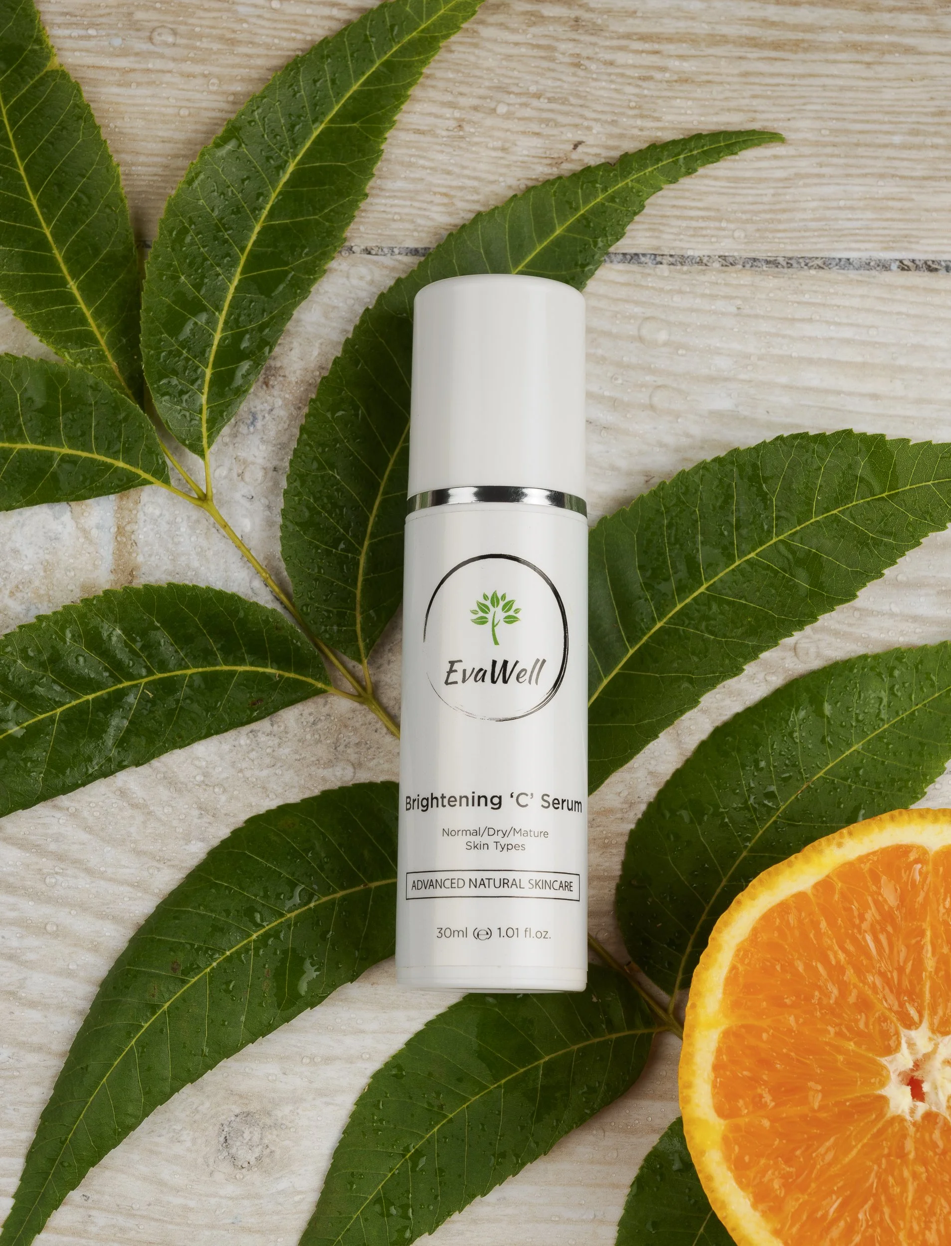 Lisa Dimitri Gallery