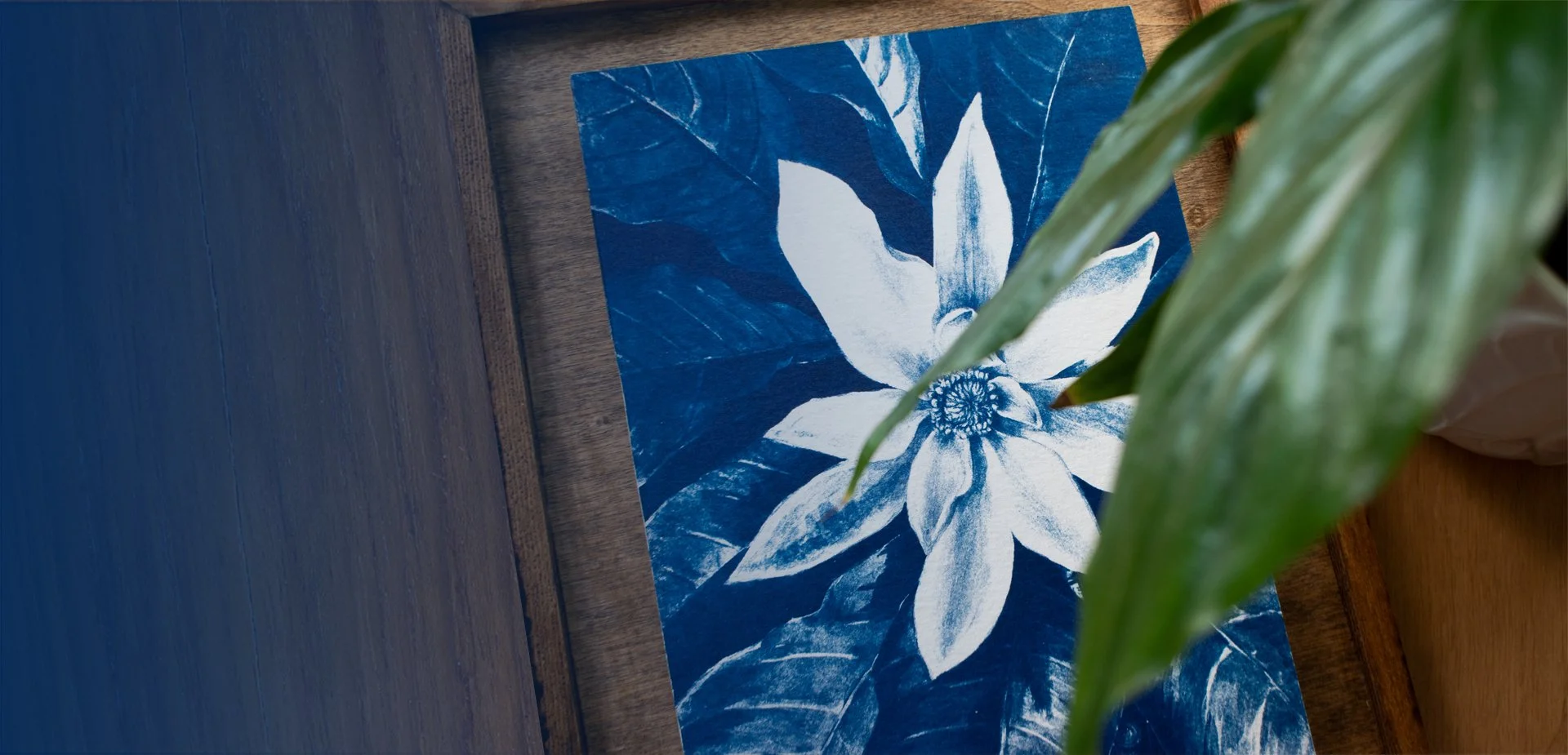Paperfulshop | Cyanotype Kits & Cyanotype Stencils