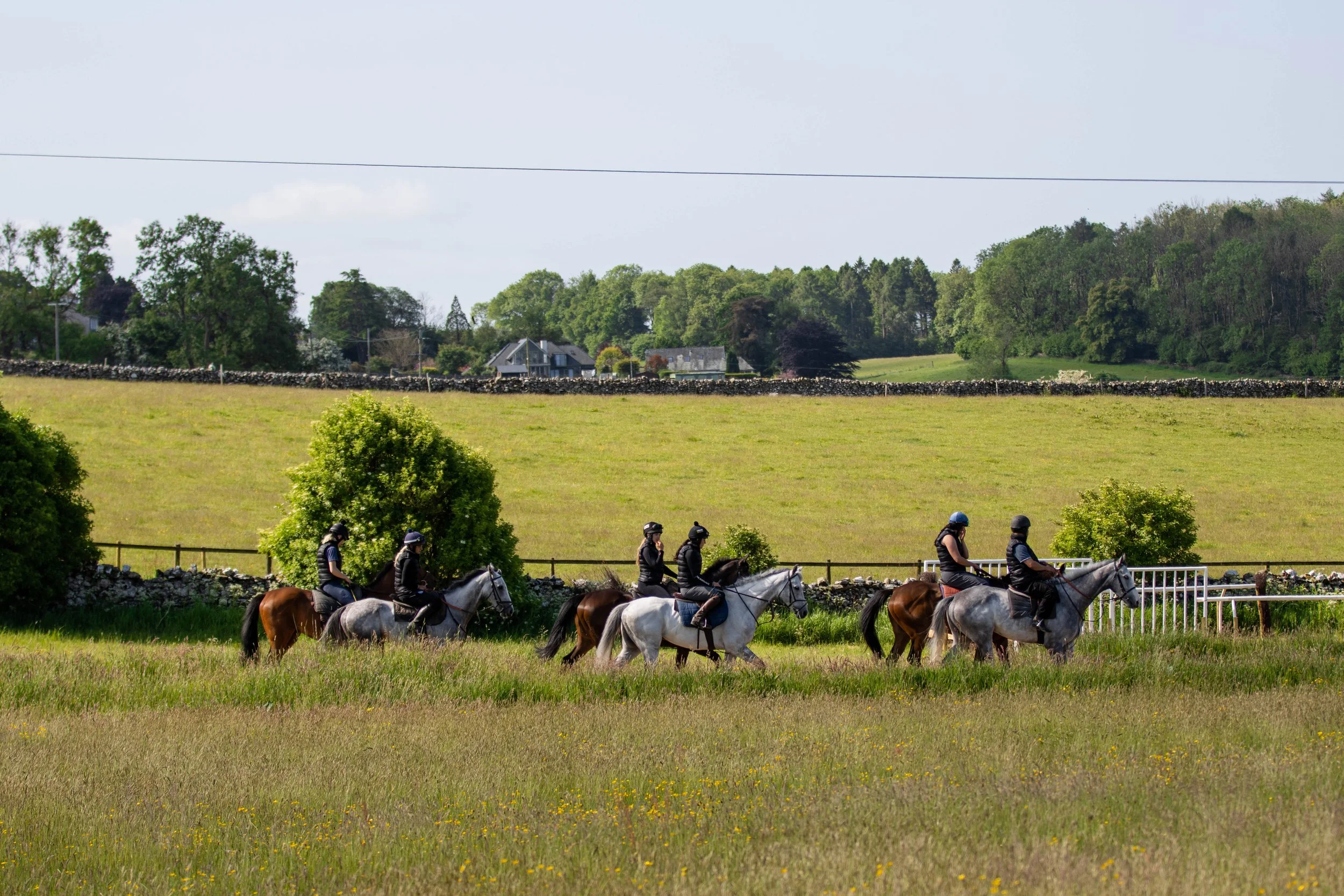 Horses In Training — James Moffatt Racing Stables